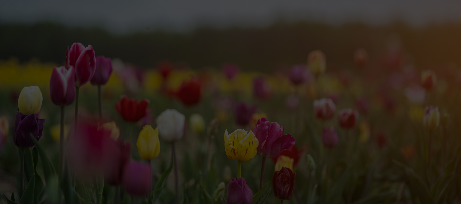 Rental Homes In South Bend, IN | HomeWorks Property Management